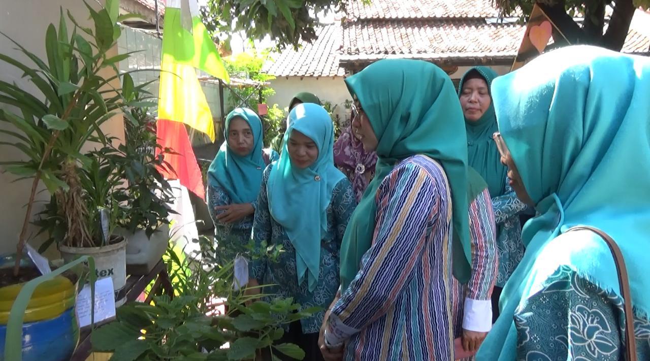 Bantu Atasi Stunting, Kelurahan Kuripan Yosorejo Tanam Sayuran dan Budidaya Ikan Lele